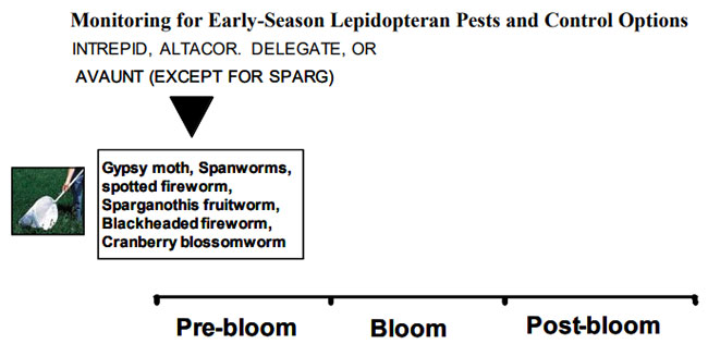 Cranberry Pest Management – Philip E. Marucci Center for Blueberry ...