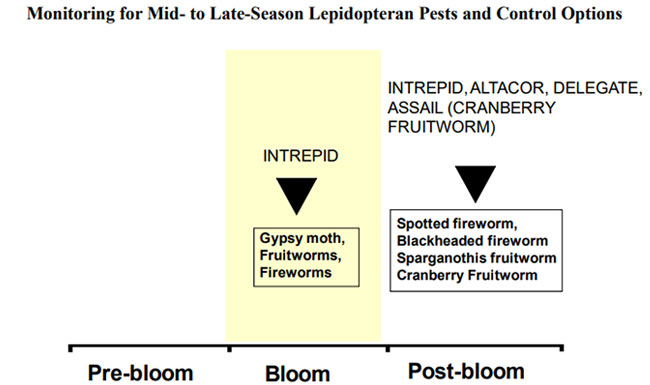 Cranberry Pest Management – Philip E. Marucci Center for Blueberry ...
